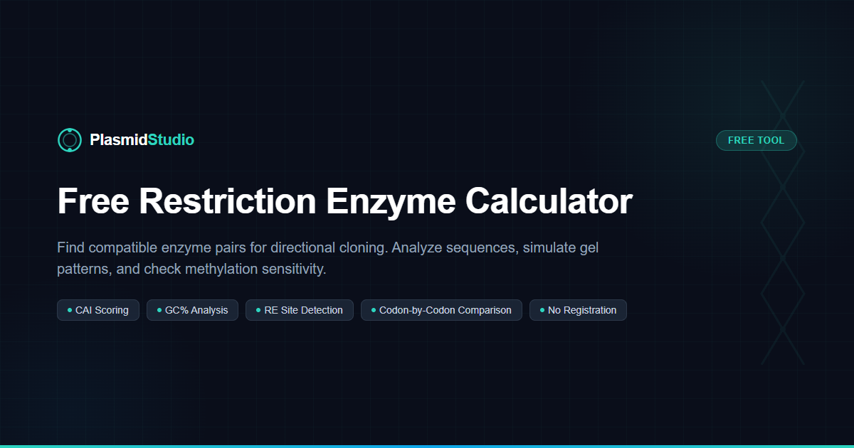 Restriction Enzyme Calculator — Find Cloning Sites | PlasmidStudio